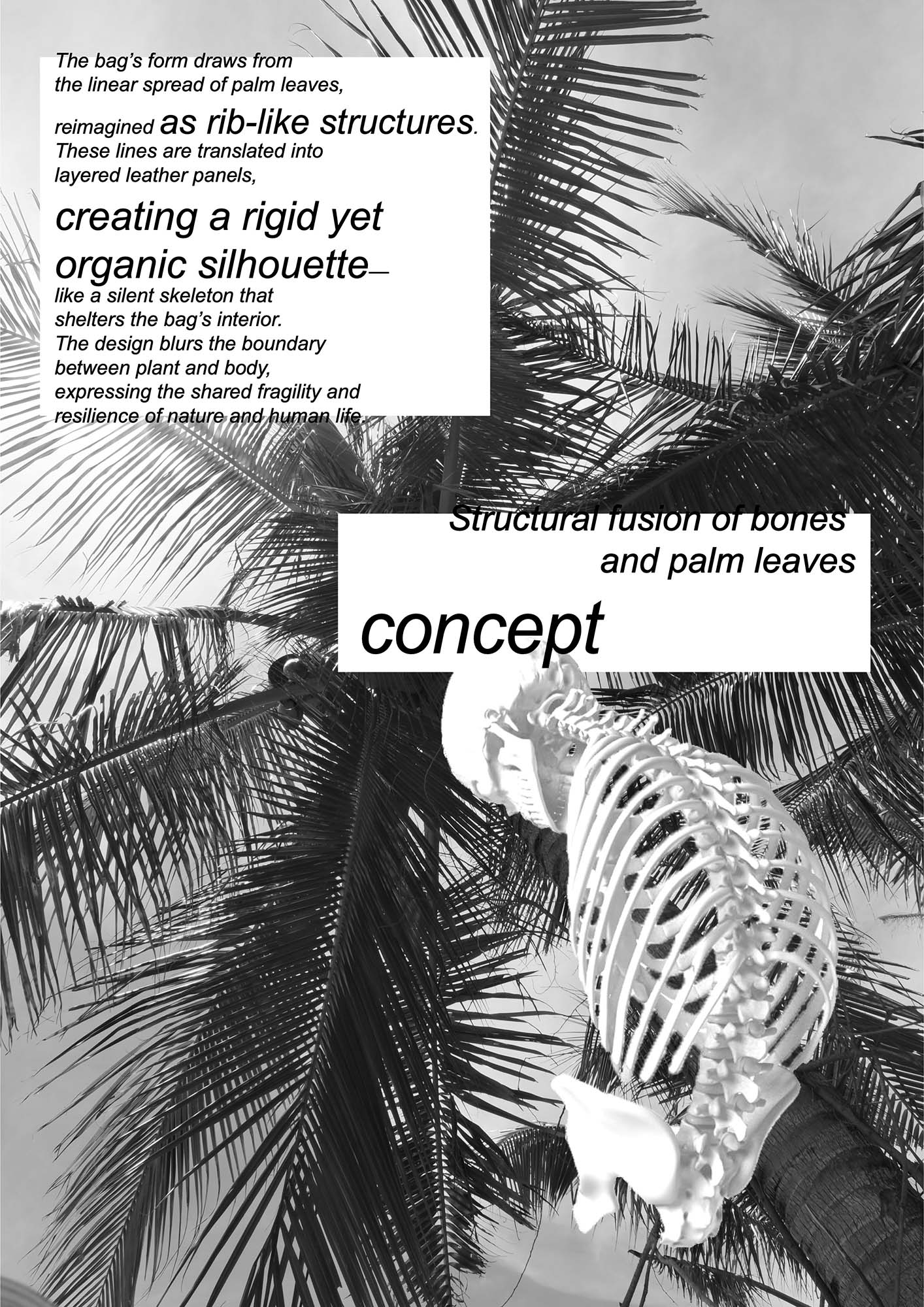 Entry: BONEFALL – Real Leather Design Competitions